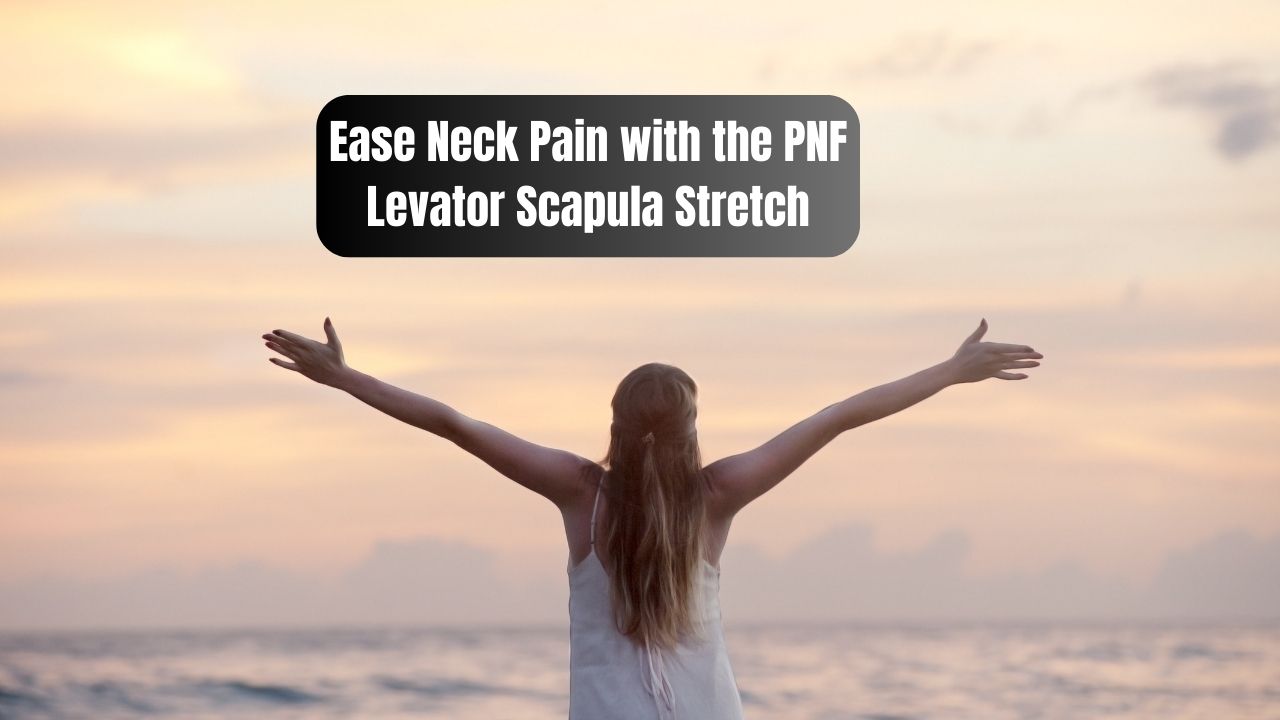Relieve Neck & Shoulder Tension with the PNF Levator Scapula Stretch